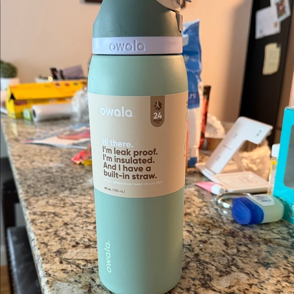 owala | Accessories | Owala Mint Green Insulated Water Bottle Nwt ...